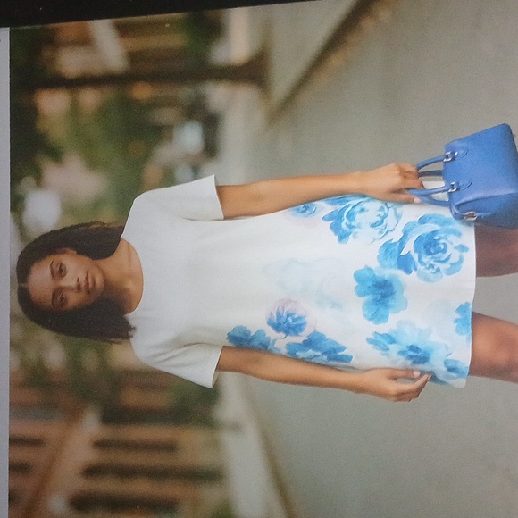 ROMWE | Dresses | Beautiful Floral Mini Dress Florals Euc Wo Tag Sold ...